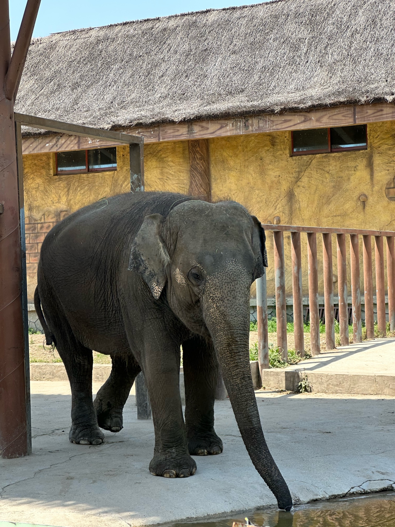 南通动物园 - 港城街巷 张家港爱上网/